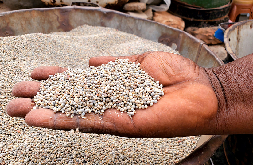 A la découverte du petit mil du peuple MOBA