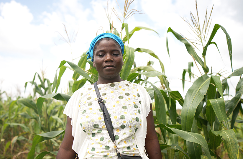 De l'informatique à l'agriculture, l’audace payante