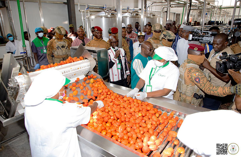 Tomate : le Burkina inaugure sa première usine de transformation