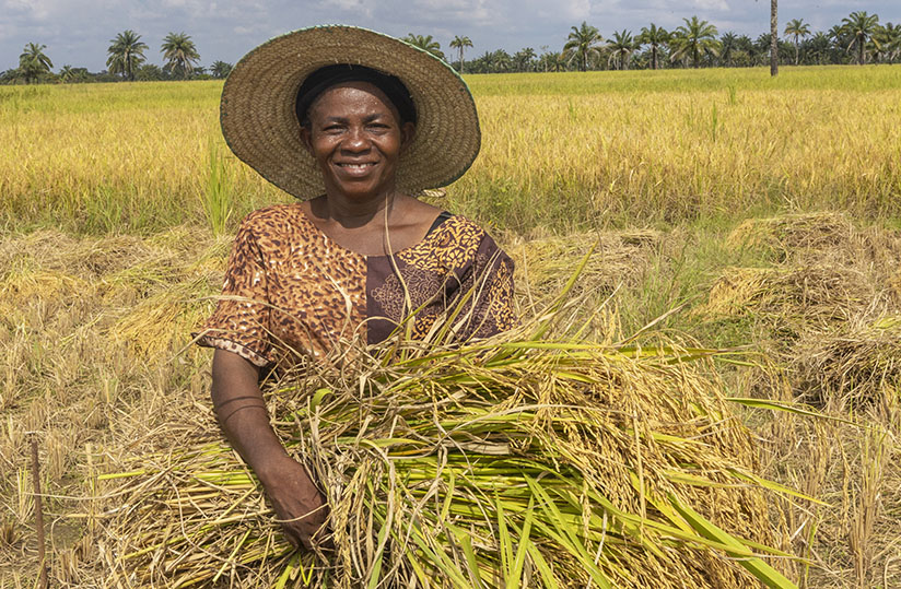 Un nouveau programme de la FAO et du FIDA cible 32 pays