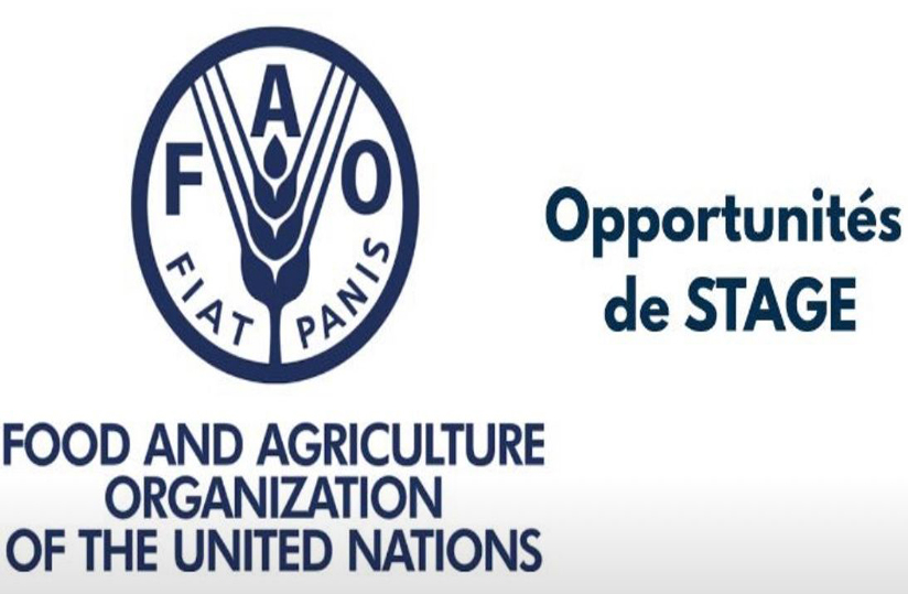 La FAO lance son Programme de stages en Afrique : Postulez