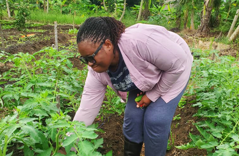 Visite guidée à la ferme Panier de la fermière à Alokoégbé