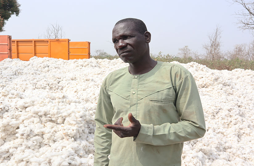 Coton : plaidoyer pour revaloriser le prix du kilo bord champ