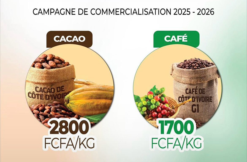 Cacao et café : la Côte d’Ivoire fixe le prix minimum, deux modèles s ...