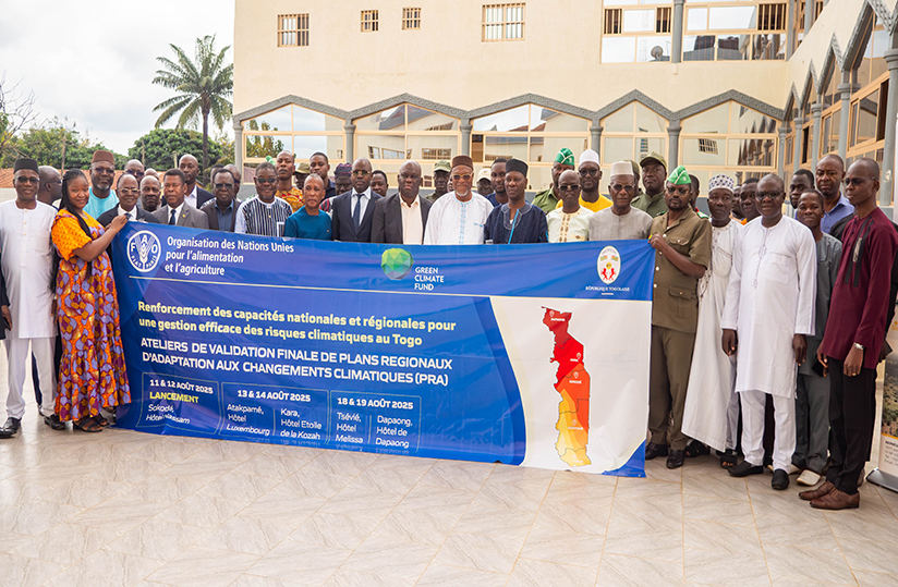 La FAO accompagne activement le Togo dans la territorialisation du plan ...