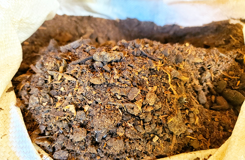 Produire en quantité et en qualité du compost prêt à l’usage