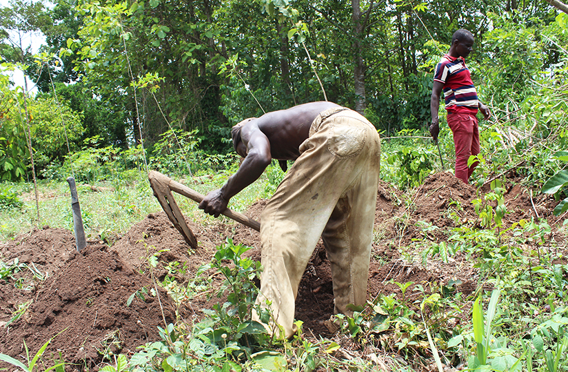 L’agriculteur doit préserver les forêts et non les détruire