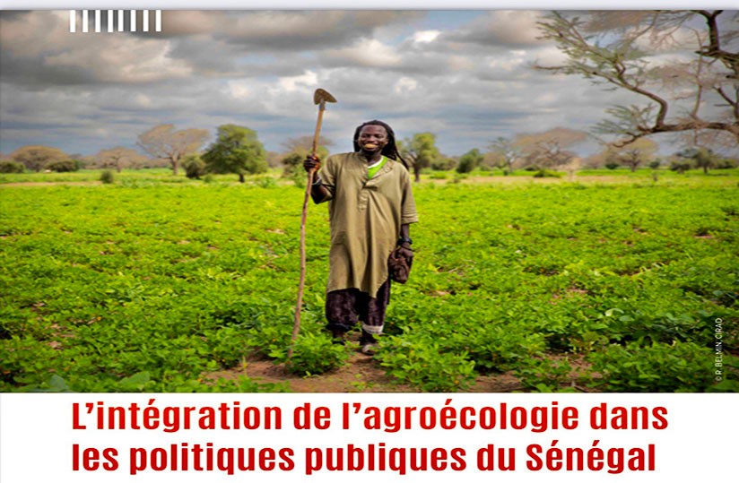 L'agroécologie, un modèle de vie