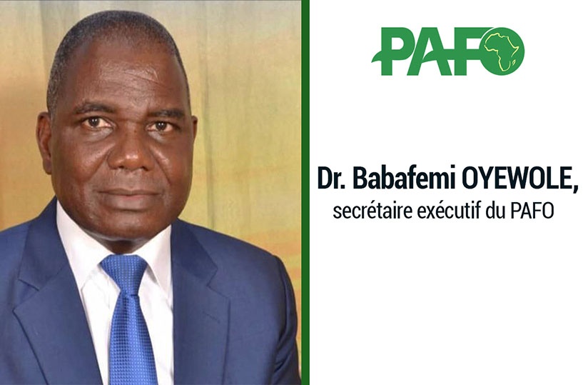 BABAFEMI BANQUE PAFO.jpg