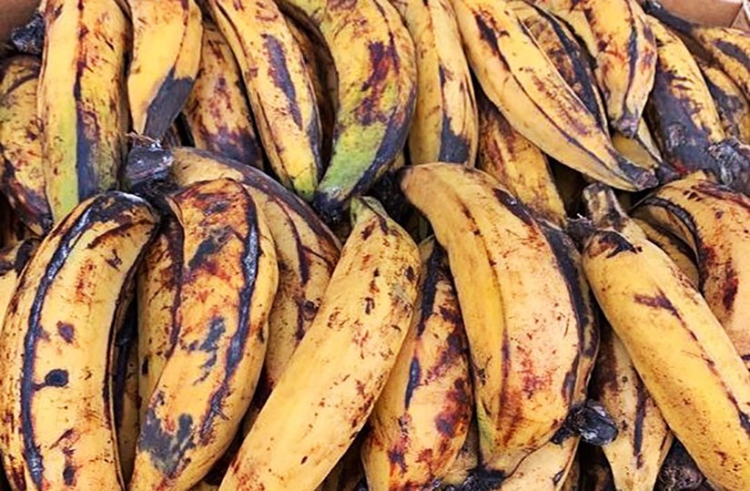 Plantain Banana: A Dietary Supplement
