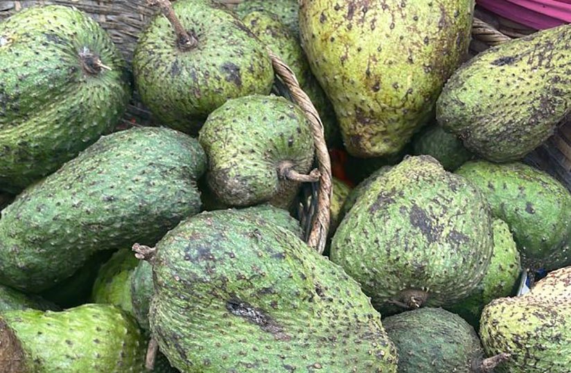 CORROSOL DIGESTION TOGO.jpg