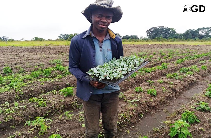 Gabon's Abundant Agricultural Lands : Unlocking Potential and ...