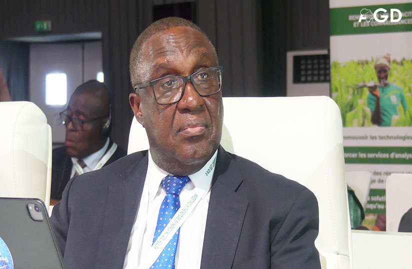 3 Recipes for Sustainable Food Security in Africa