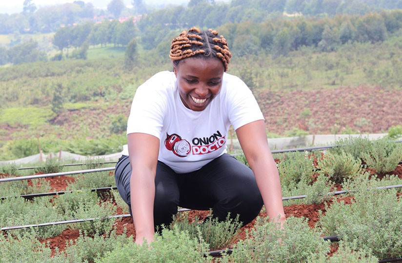 FEMME OIGNON AFRIQUE.jpg