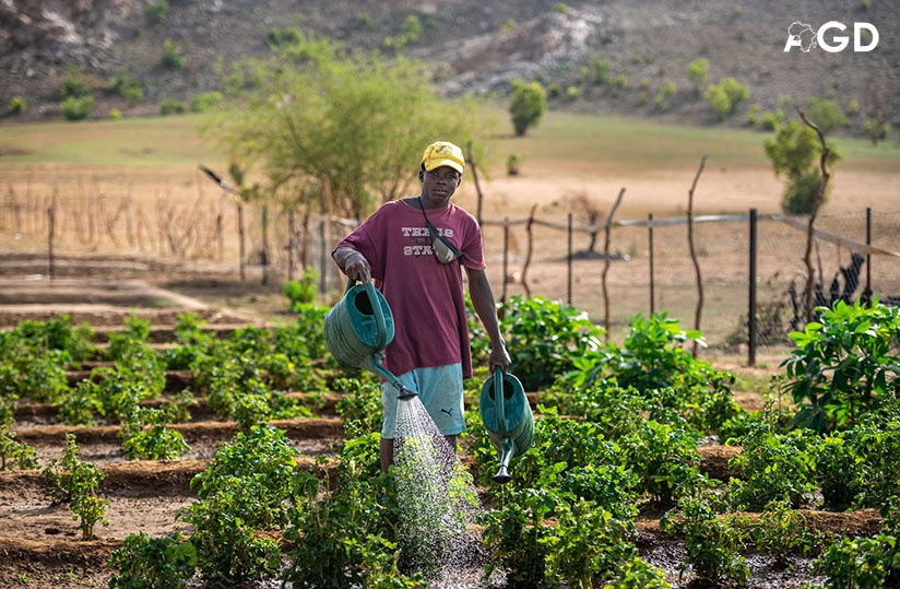 Le FIDA aux petits soins des petits exploitants agricoles