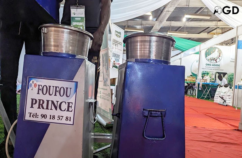 Foufou Prince : Kara's Agro Innovation
