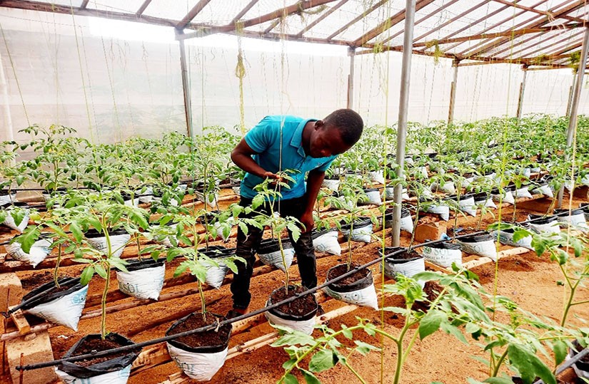 Inoussa Diallo AGRISOL FASO.jpg