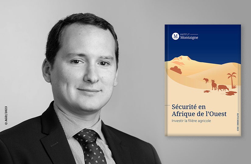 Jonathan Guiffard RAPPORT.jpg