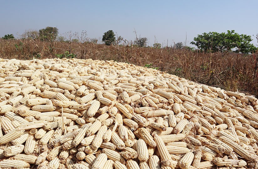 Kaboli, zone de prospérité économique agricole