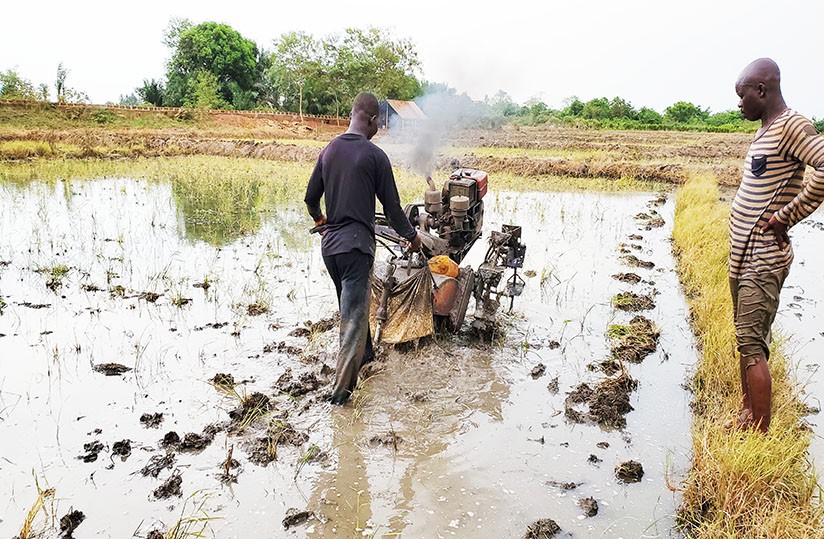 KOVIE CAMPAGNE RIZ TOGO.jpg