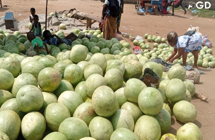 PASTEQUE PRIX TOGO.jpg