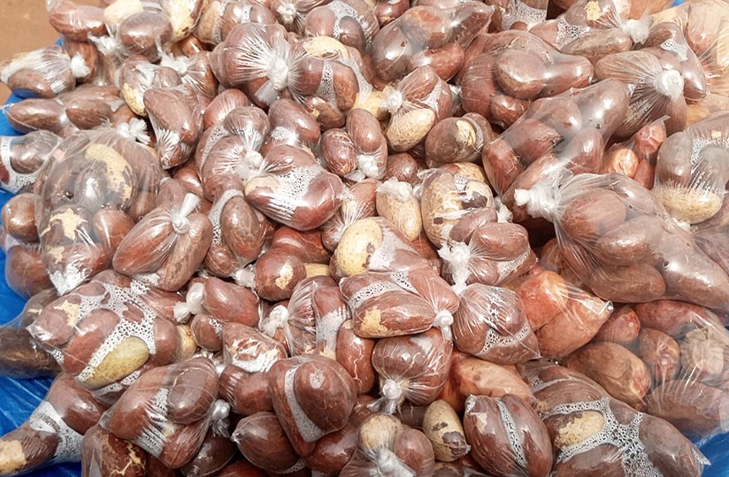 Petit cola : un booster de libido masculine