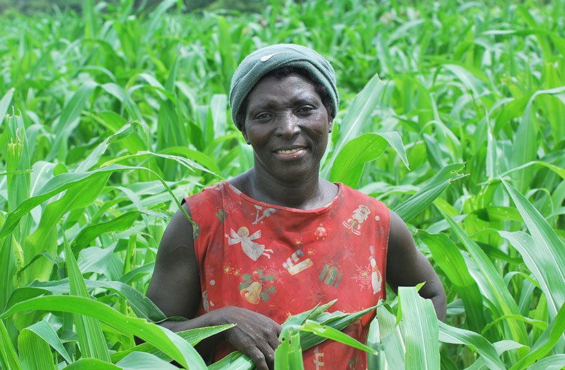 'Les ouvriers agricoles sont devenus du gaz rare'