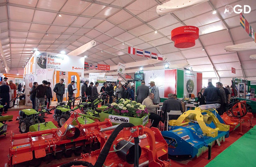 Business and Innovation Take Center Stage at the International ...