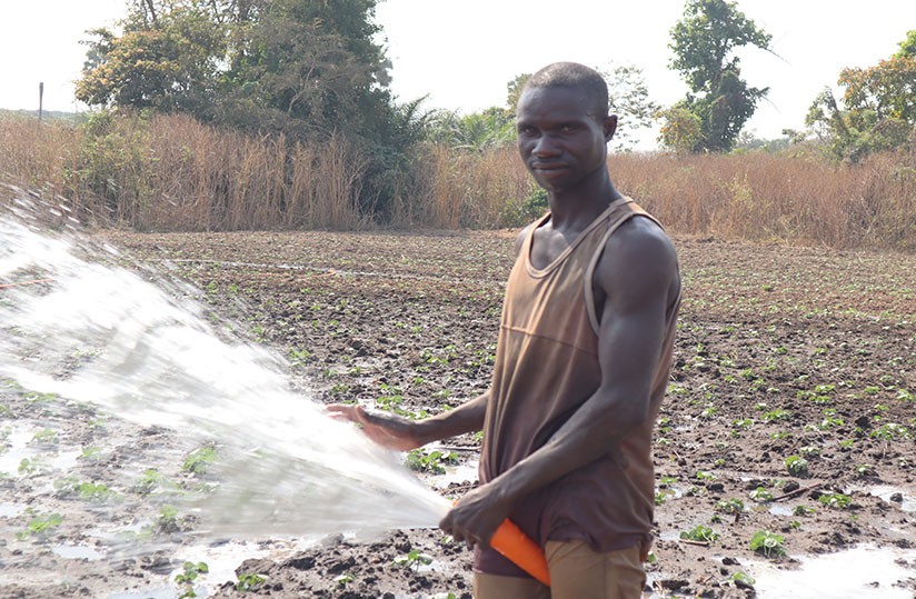 Faire du ‘Gombo’ avec le gombo