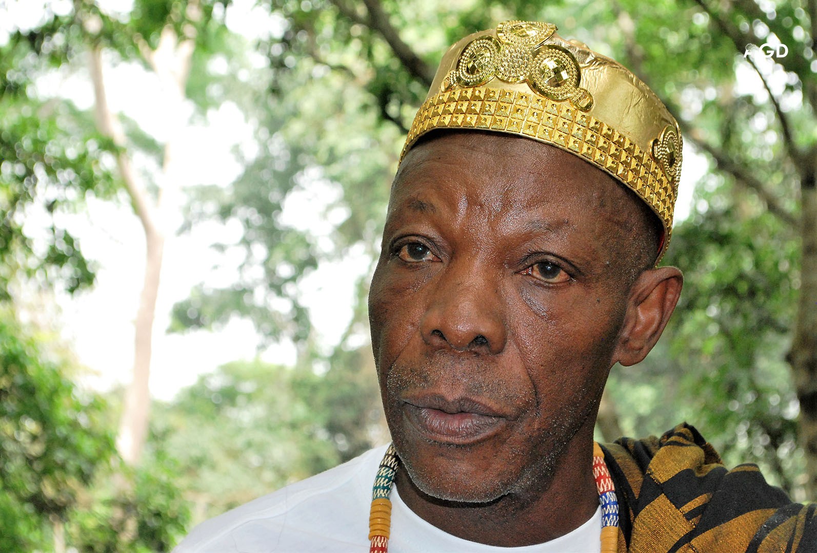 Togbui Prosper Gnanou.jpg