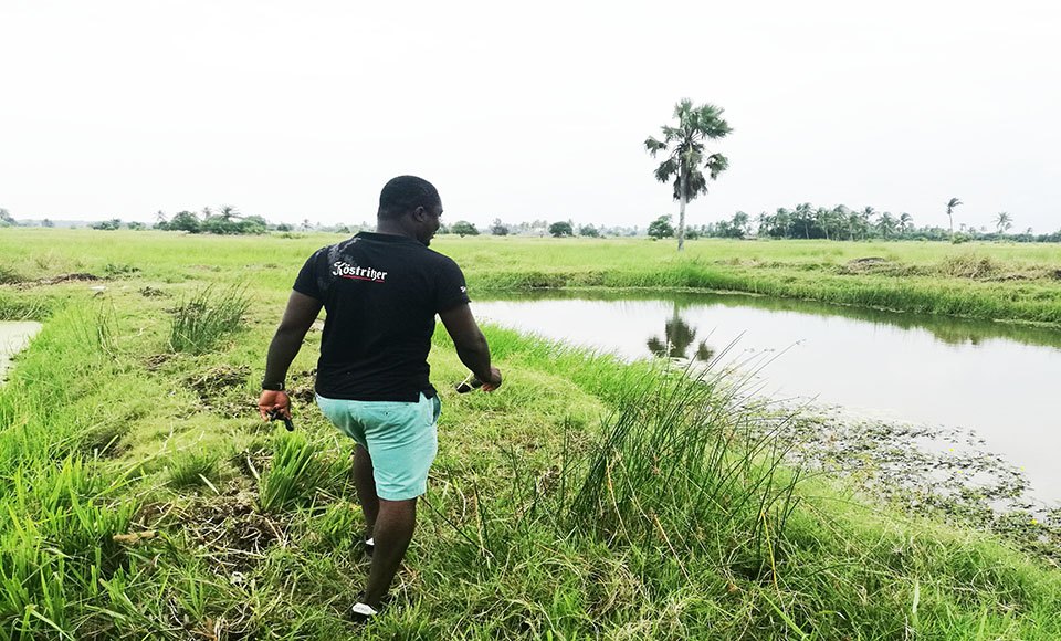 Mon avenir se trouve dans ce bassin de Clarias