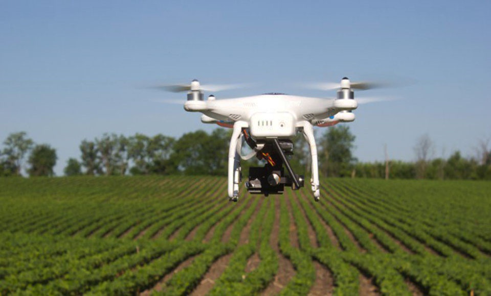 The transformation of agriculture in the digital age