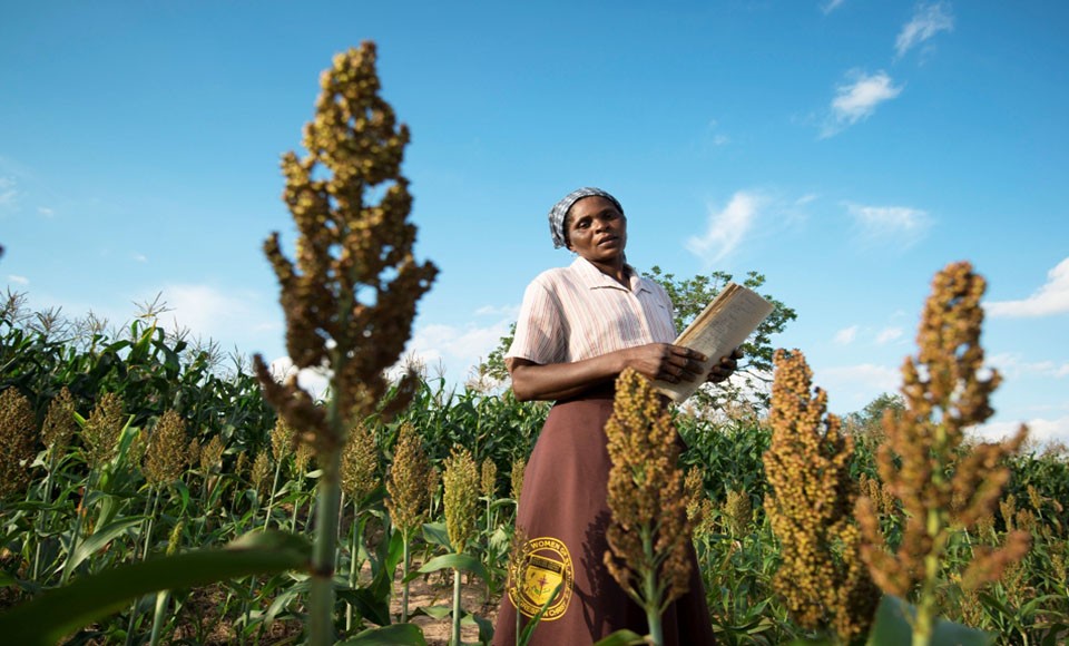 Calista, lead farmer from Zimbabwe