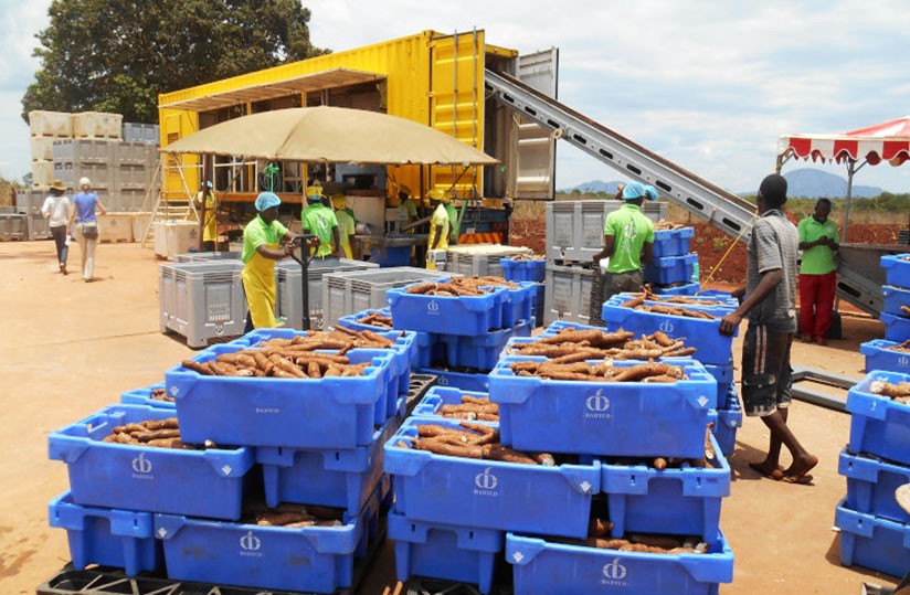 Opportunities in Africa’s food industry