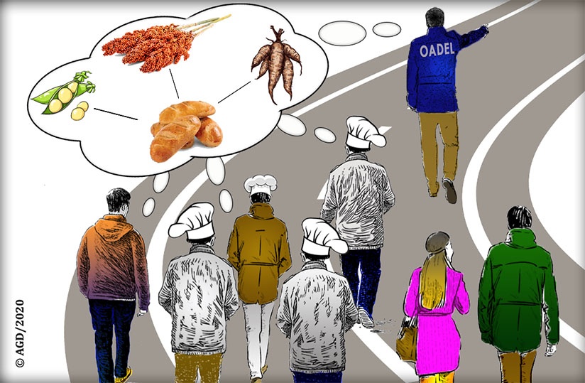 OADEL : le meilleur guide des boulangers