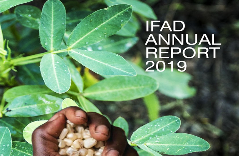 IFAD Annual Report 2019