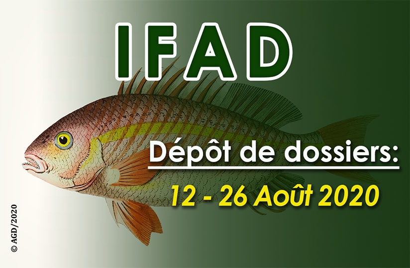 Obtenir un baccalauréat professionnel en aquaculture