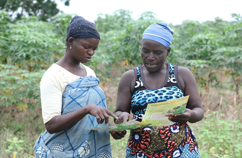 Six Steps to Cassava Weed Management