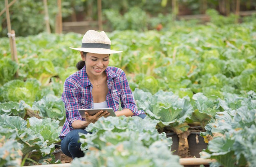 It is time we make farming fun