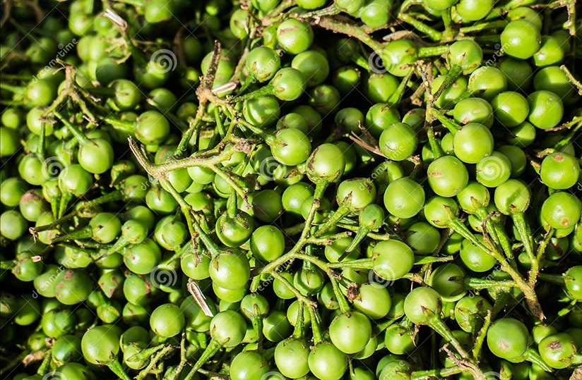 Eat this vegetable for its amazing medicinal benefits
