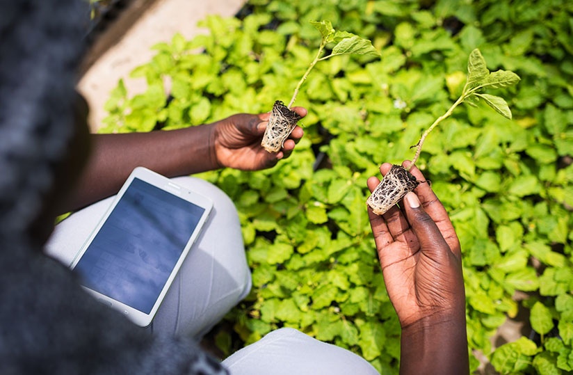 Digital Agriculture Dashboard