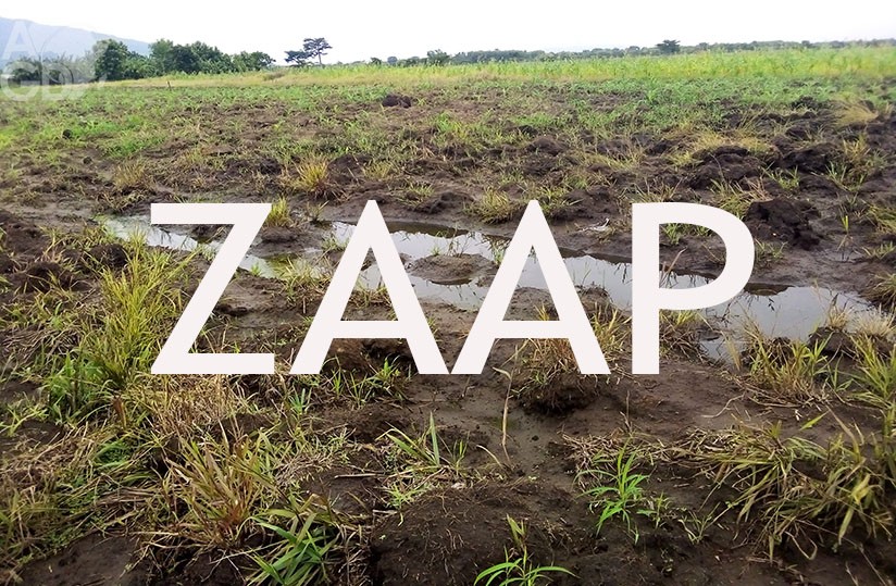 Les ZAAP : quels résultats