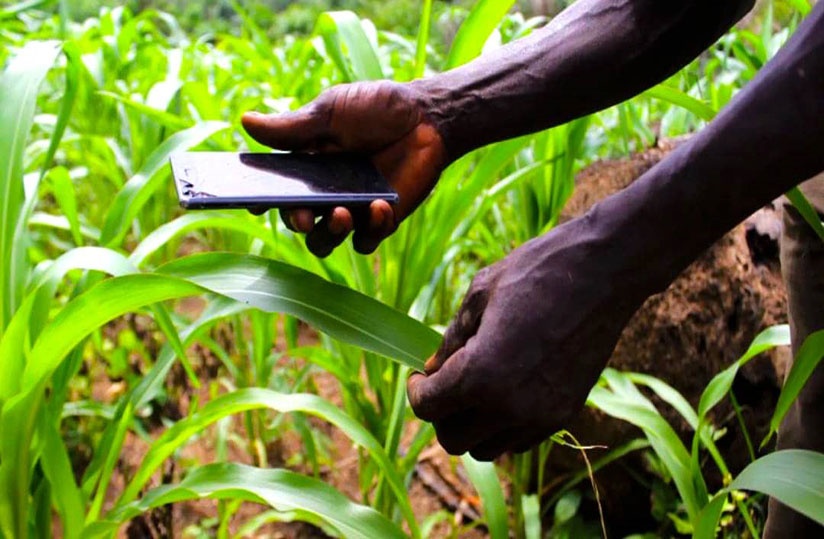 App to monitor deforestation