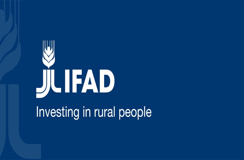 Member States to nominate candidates for next IFAD President