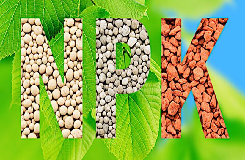 50 Kg de NPK ; Urée à 14.000 F.CFA