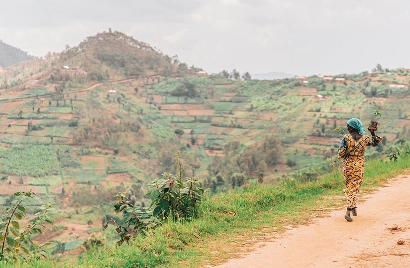 L’initiative AFR100 de l’Union africaine fait du chemin