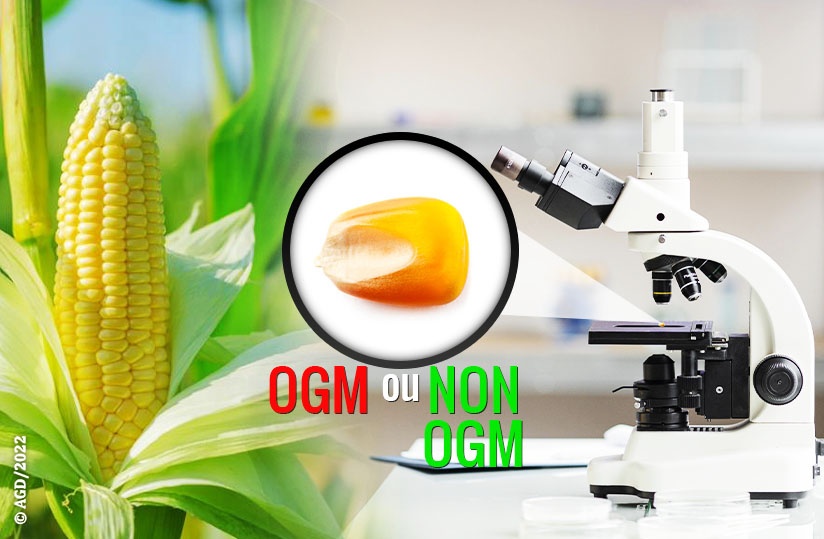 L’agriculteur peut-il reconnaître une semence OGM
