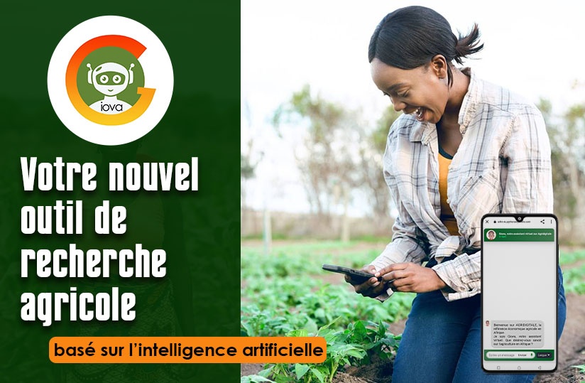 Que désirez-vous savoir sur l’agriculture en Afrique