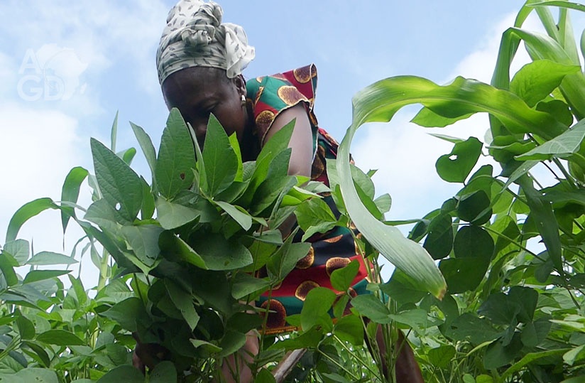 Agroecology is the main factor to a great family farming